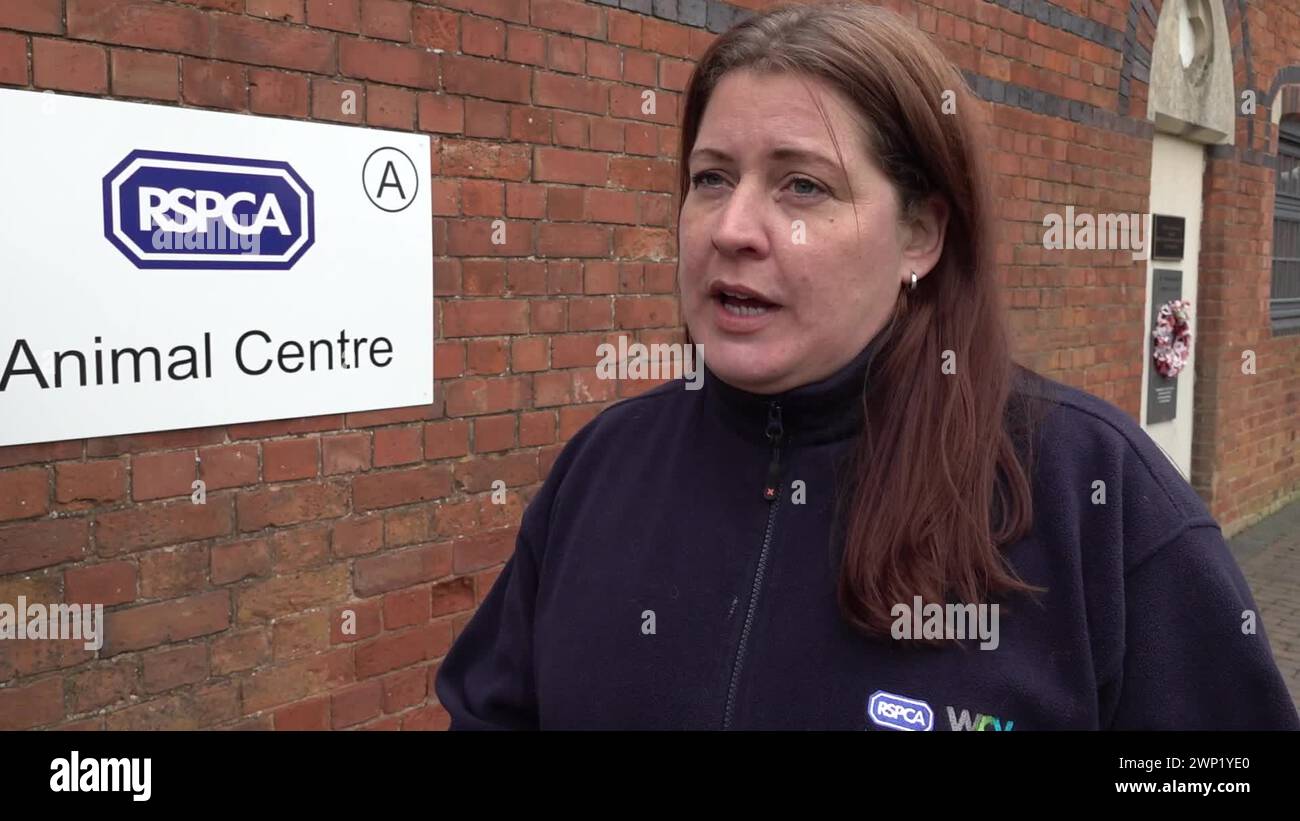 Curtail Stock Videos & Footage - HD and 4K Video Clips - Alamy