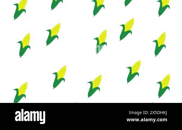 Corn animation with blue screen for keying and white backdrop, 4k Stock ...