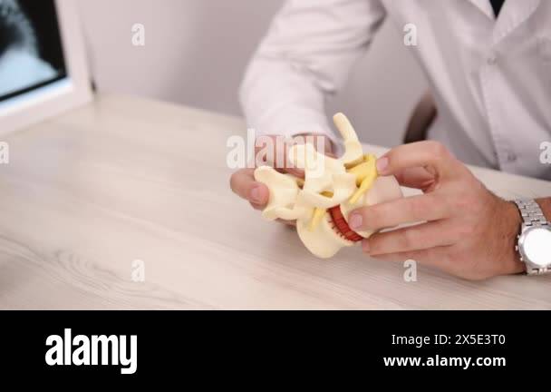 Anatomical teaching model Stock Videos & Footage - HD and 4K Video ...