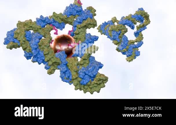 Nanoparticles dna Stock Videos & Footage - HD and 4K Video Clips - Alamy