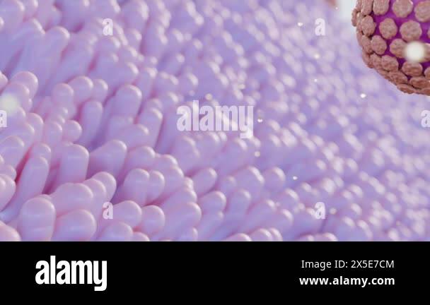 Causes vomiting Stock Videos & Footage - HD and 4K Video Clips - Alamy