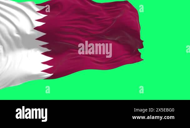 Qatar national flag fluttering isolated on green background. Maroon ...