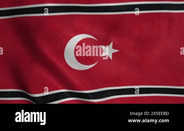 Realistic flag movement Stock Videos & Footage - HD and 4K Video Clips ...