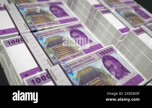 Central African CFA Franc money Cameroon Chad Congo Gabon pack loop 3d ...
