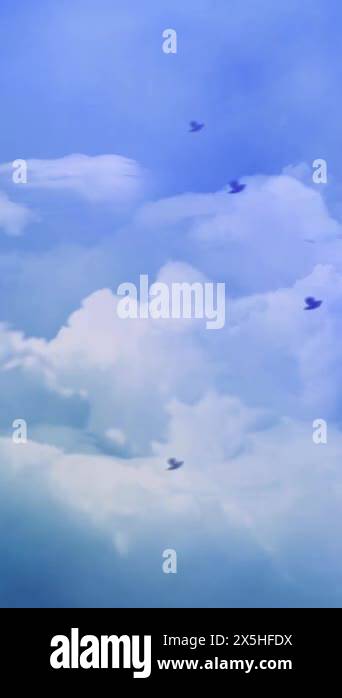 Vertical Flock of Birds Flying in the Clouds 4K Loop features birds ...