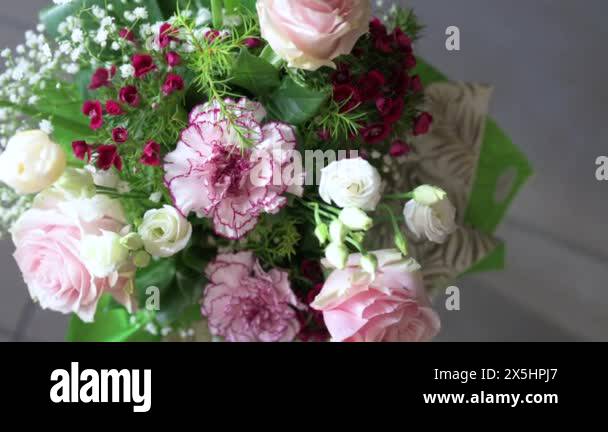 Freshness and purity Stock Videos & Footage - HD and 4K Video Clips - Alamy