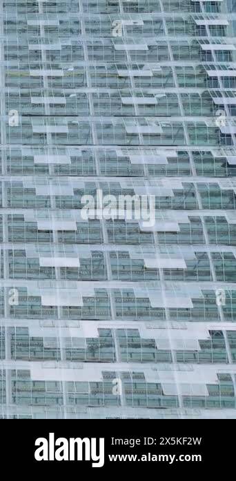 Window structures of greenhouses with open transoms for ventilation ...
