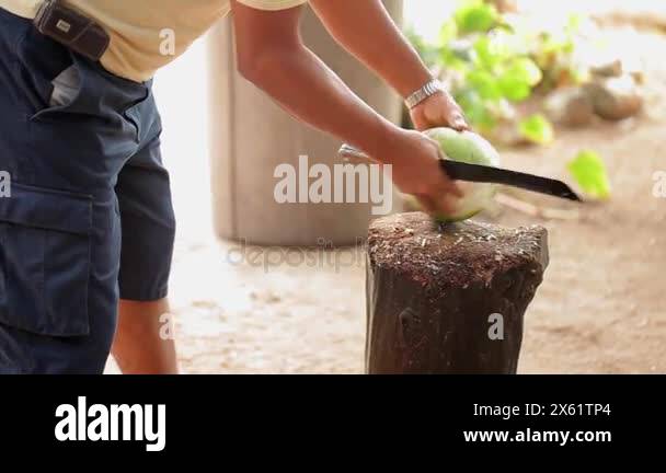 Man with machete Stock Videos & Footage - HD and 4K Video Clips - Alamy