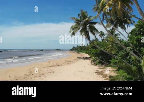 The beautiful coast of Sri Lanka in Matara. Top view, aerial video ...