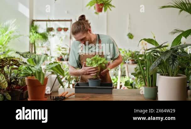 Plant parent Stock Videos & Footage - HD and 4K Video Clips - Alamy