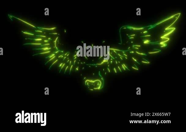 Wing strength Stock Videos & Footage - HD and 4K Video Clips - Alamy