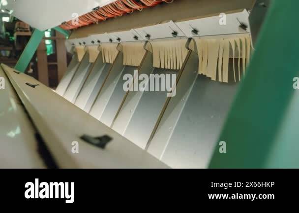 Tea grading Stock Videos & Footage - HD and 4K Video Clips - Alamy