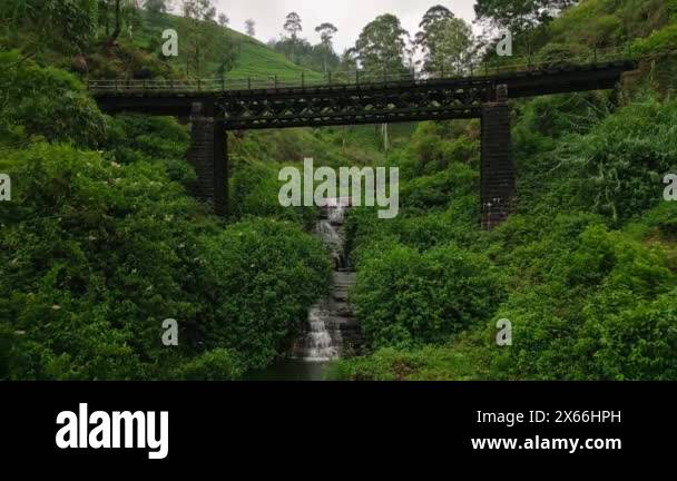 Train track on colonial era bridge amid tea plantation, natural scenic ...