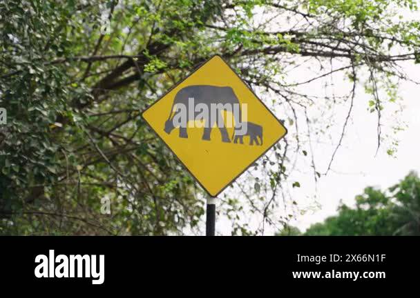 Sign signpost conservation Stock Videos & Footage - HD and 4K Video ...