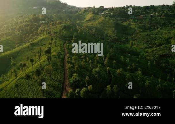 Sri lanka ceylon tea fields Stock Videos & Footage - HD and 4K Video ...