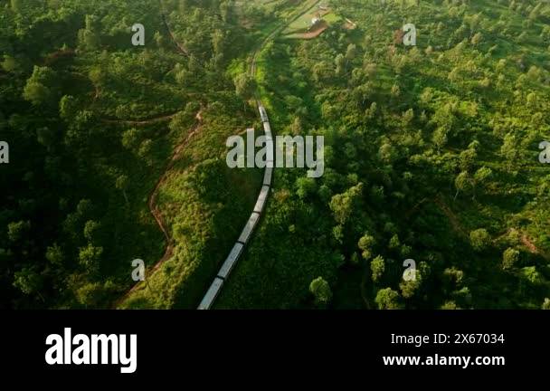 Snakes sri lanka Stock Videos & Footage - HD and 4K Video Clips - Alamy