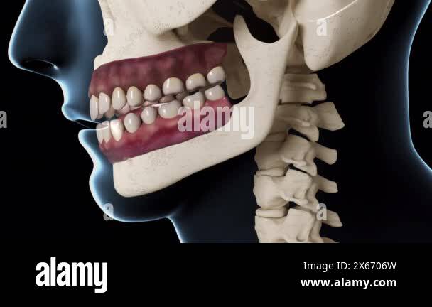 This 3d animation shows an overview of the chewing Stock Video Footage ...