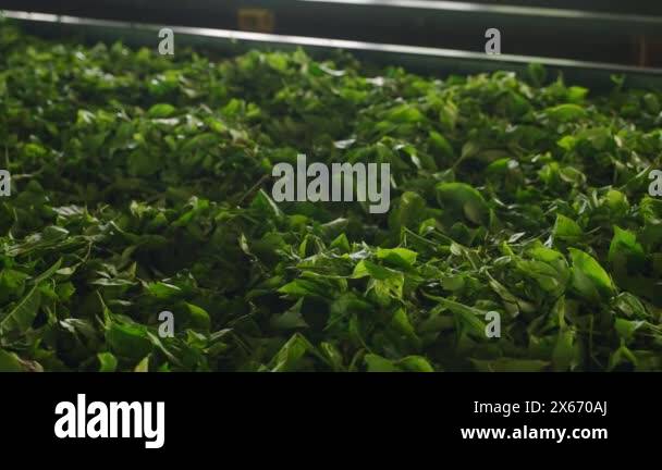 Traditional drying methods Stock Videos & Footage - HD and 4K Video ...