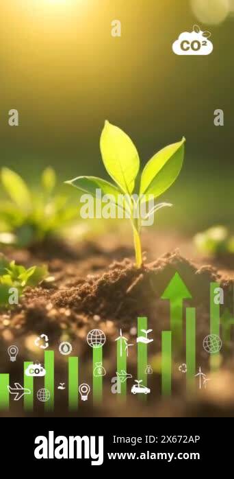 CO2 reduce concept.Infographic with icons.Reduction of carbon emissions ...