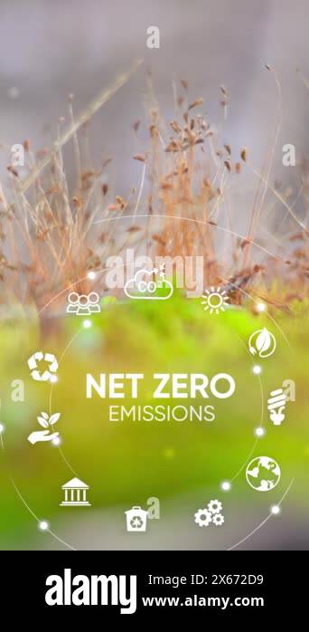 Net zero emissions , carbon neutral concept. Net zero greenhouse gas ...