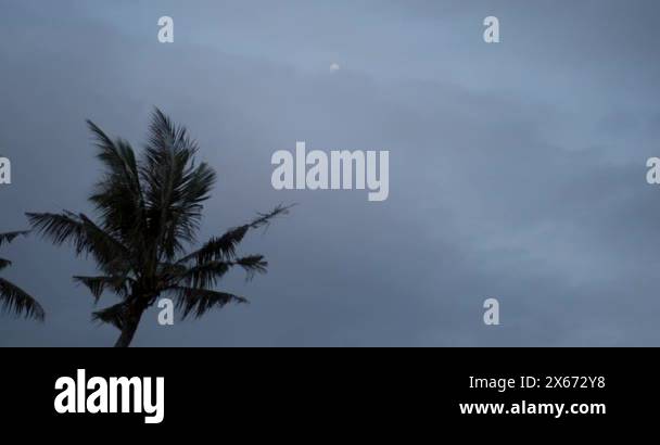 Background video with a view of the night sky with the full moon ...
