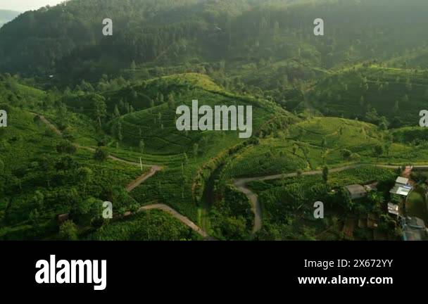 Paths cross Stock Videos & Footage - HD and 4K Video Clips - Alamy