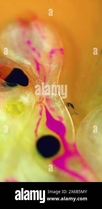 Glitter bubbles. Color mist. Paint water. Defocused bright pink green ...