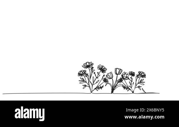 animated continuous single line drawing of woman picking flowers, line ...