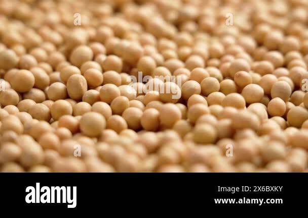Dried soya beans Stock Videos & Footage - HD and 4K Video Clips - Alamy