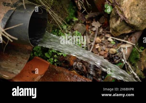 Drainage of chemical contaminated water in the forest. Illegal ...