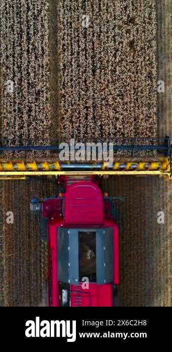 Combine harvester from above agriculture Stock Videos & Footage - HD ...