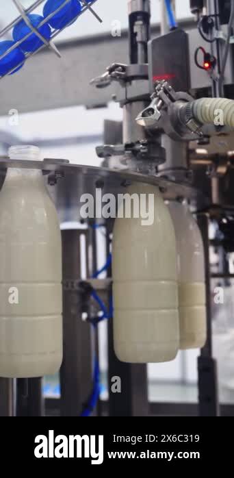 Robotic equipment for bottling milk. Manufacturing process of pouring ...