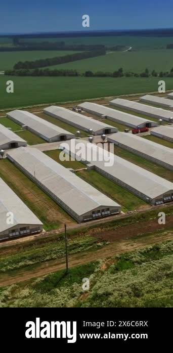 Premises of the poultry farm. Complex of white buildings poultry farm ...