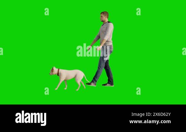 3D man walking with his dog on green screen, people render animation 4k ...