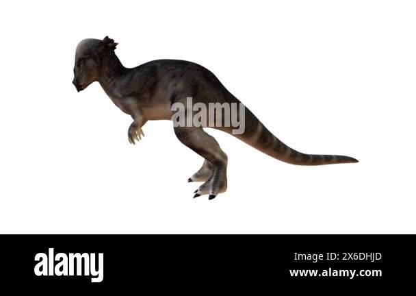3D rendering Pachycephalosaurus, known for its dome-shaped skull. The ...