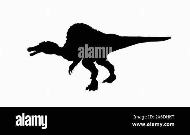 Black Silhouette Spinosaurus, known for its distinctive sail and elongated snout. The dinosaur ...
