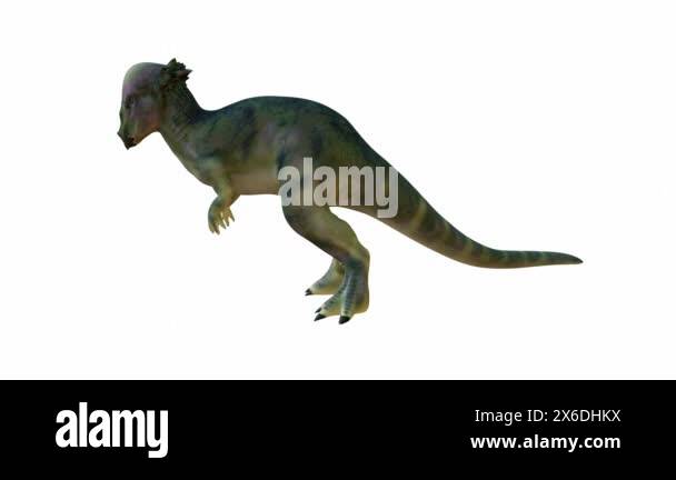 3D rendering Pachycephalosaurus, known for its dome-shaped skull. The ...