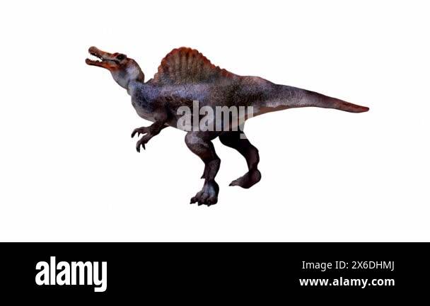 3D Rendering Spinosaurus, known for its distinctive sail and elongated ...