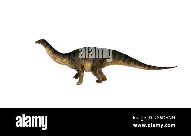 Sauropod dinosaurs Stock Videos & Footage - HD and 4K Video Clips - Alamy