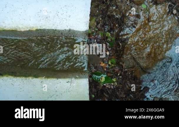 Drainage system in the forest. Water flowing through the channel ...