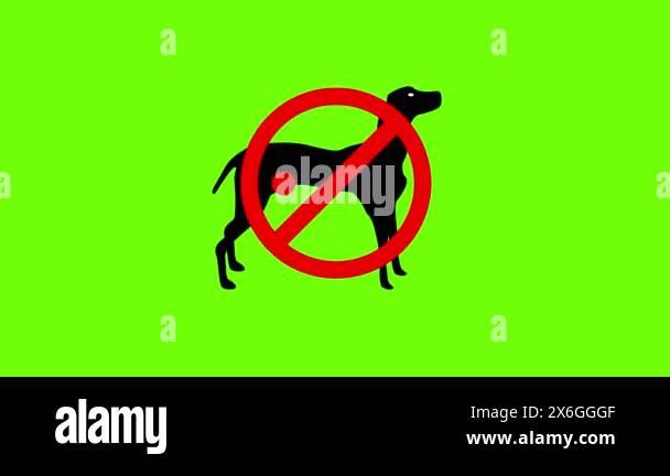 No dog allowed, pets banned and no dog sign on green screen background ...
