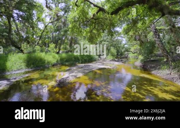 Beautiful tropical nature. Jungle rainforest with small river between ...