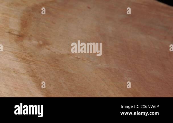 Structure of a stump fibre and bark from a saw cut tree trunk. Plant ...