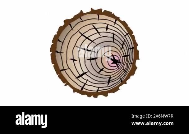 Cross section of the tree with age rings motion graphic animation ...