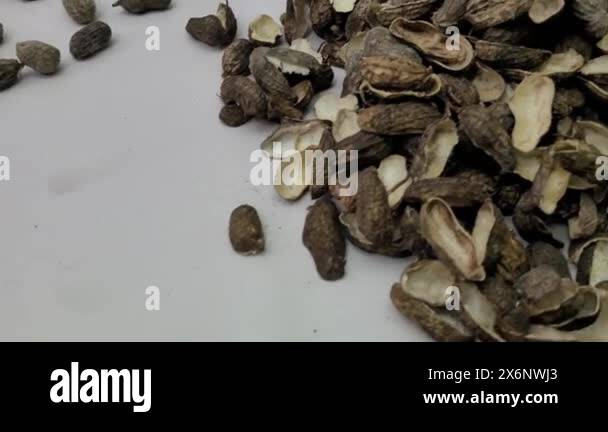 Only the shells Stock Videos & Footage - HD and 4K Video Clips - Alamy