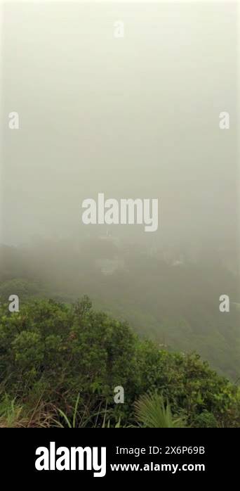 Nature interface Stock Videos & Footage - HD and 4K Video Clips - Alamy