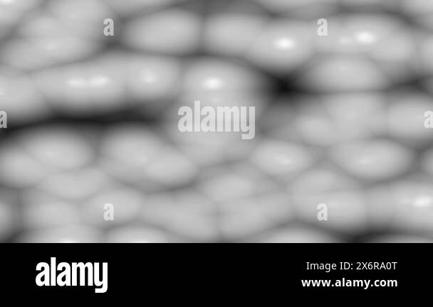 abstract background black and white voronoi noise loop overlay 4k video ...