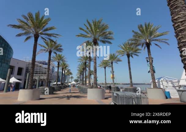New Orleans, Louisiana. USA 8 apr, 2024. Wide shot of Crowds of people ...