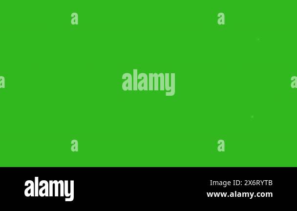 Shine shimmering light effect animation green screen background. High ...