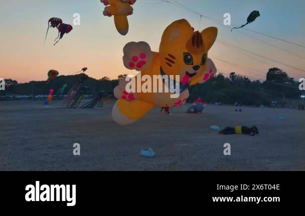 The video shows a colorful cat kite and other kites of various shapes ...